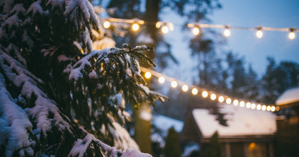 Winter magic of Cyprus — home.cy
