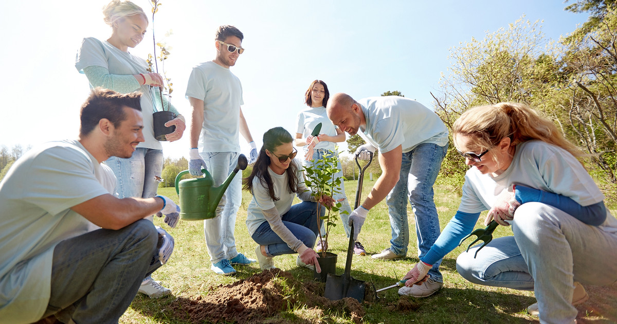 A European effort in Cyprus planted thousands of new trees — commercial.cy